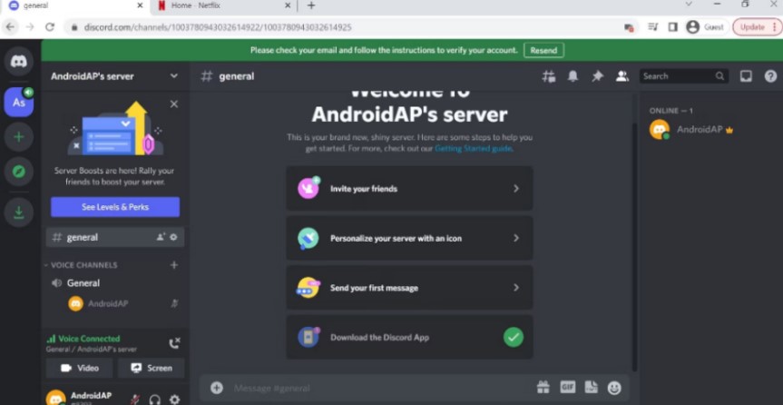 Stream Netflix on Discord - Mobile & Desktop
