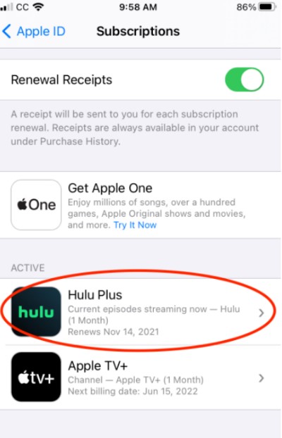 How To Cancel Hulu Subscription? - Including Free Trial - New Vision ...