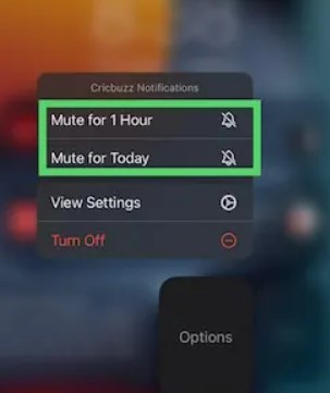 How to Silence Notifications On iPhone?