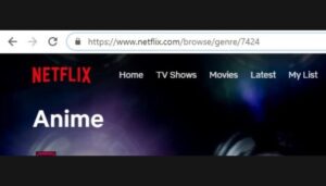 Netflix Secret Codes 2024 - Find Hidden Movies & Series
