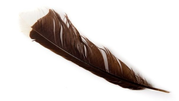 Top 20 Most Expensive Things In The World