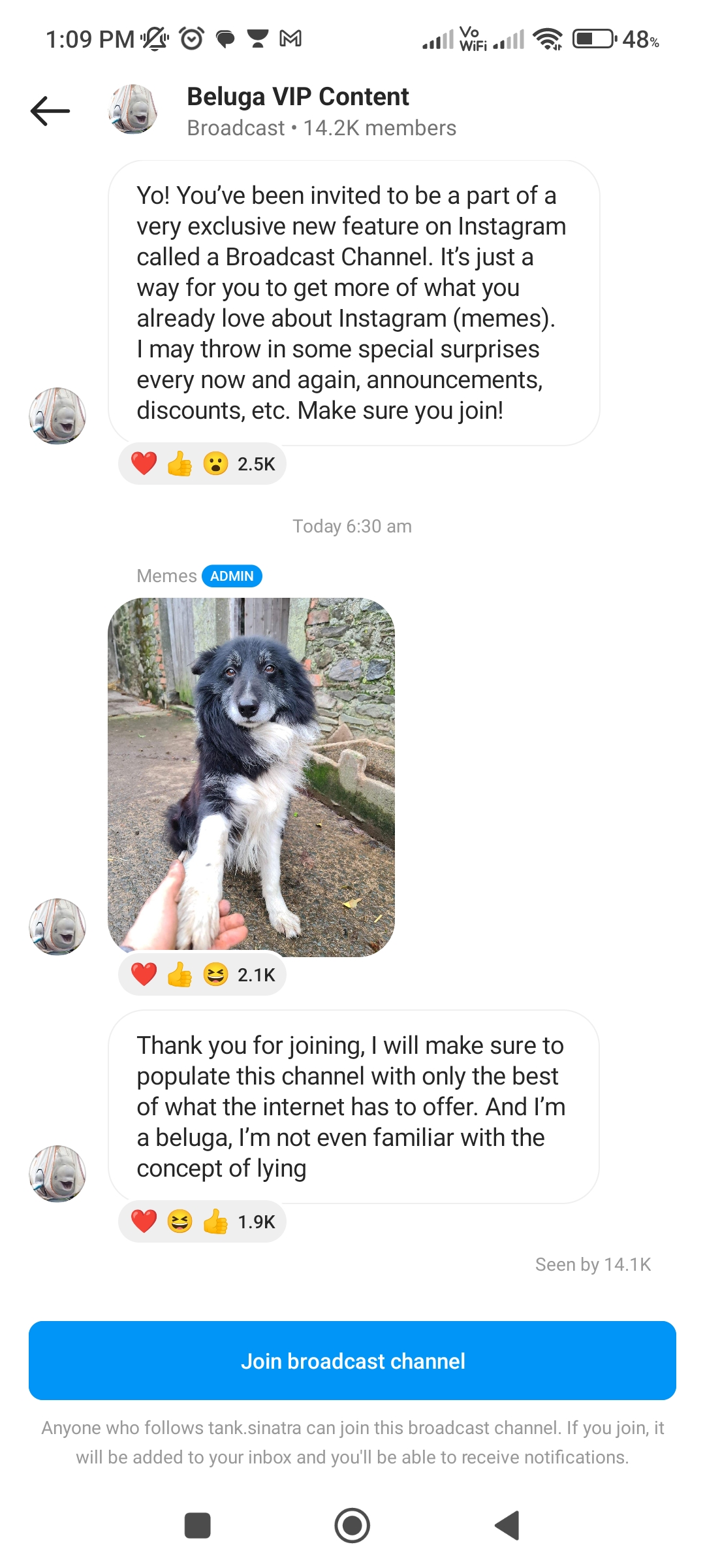 Instagram Channels: What Is It & How To Get It?