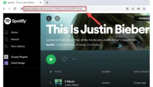Spotify Playlist Downloader: Save Whole Playlist in One Go?