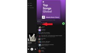 Spotify Playlist Downloader: Save Whole Playlist in One Go?