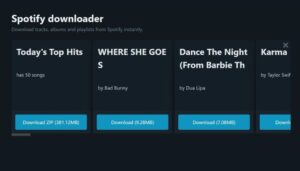 Spotify Playlist Downloader: Save Whole Playlist in One Go?