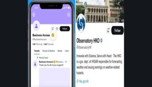 How to Get Blue Tick on X (Twitter) In 2024?