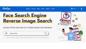 PimEyes: Facial Recognition & Image Search Tool