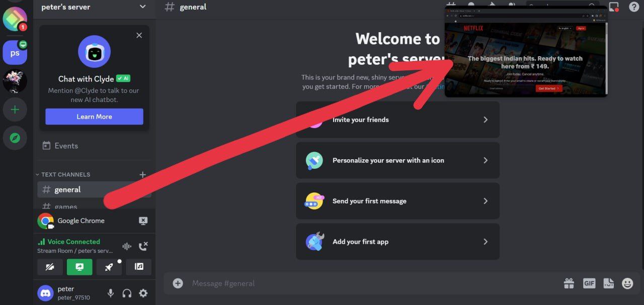 How to Stream Netflix on Discord in 2024?